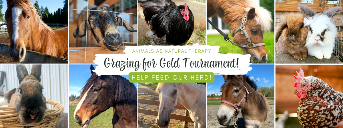 Grazing for Gold - Animals as Natural Therapy